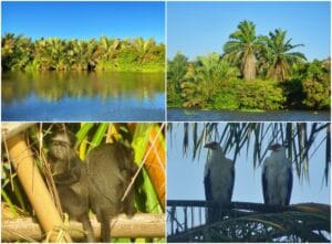 Top 10: Las mejores playas de Angola - Mi Aventura Viajando